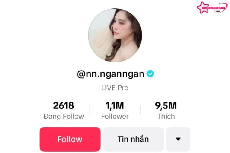 Ngân Ngân Cover Là Ai? Thông Tin Tiểu Sử, Sự Nghiệp Của Ngân Ngân
